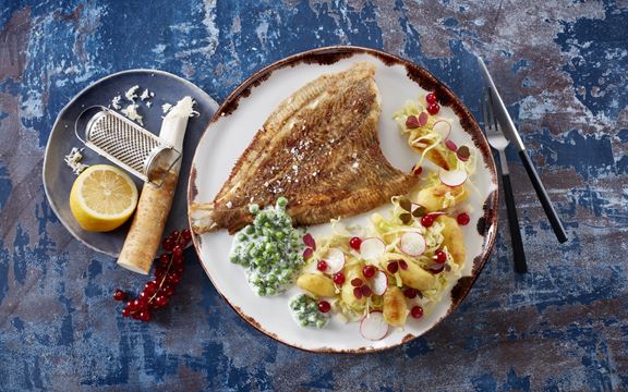 Skrubbe - facts & inspiration til opskrifter - Arlas Leksikon