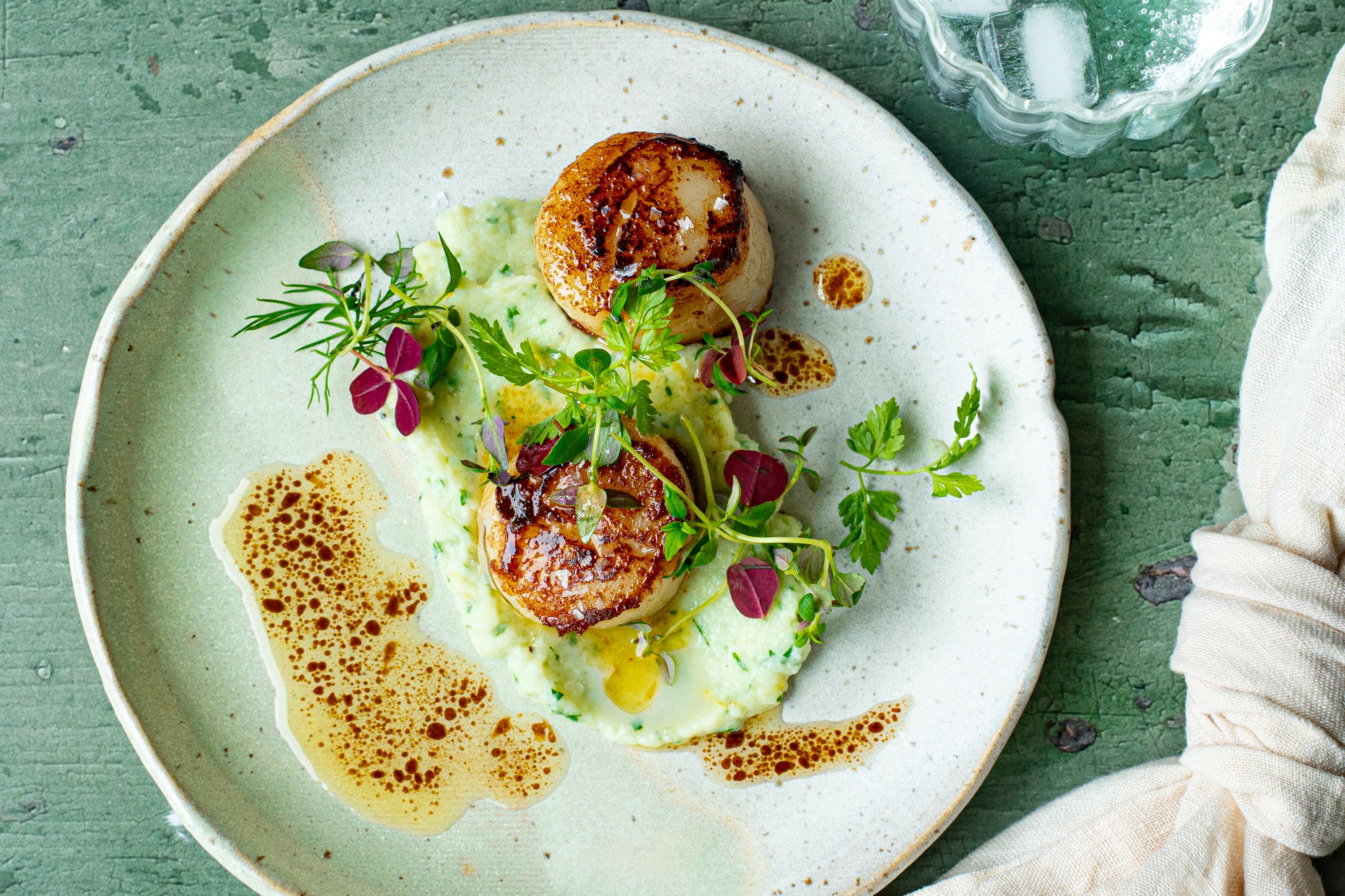 Forretter med kammuslinger opskrifter | Arla